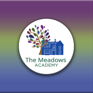 The Meadows School Logo The Meadows Primary School | Different Class